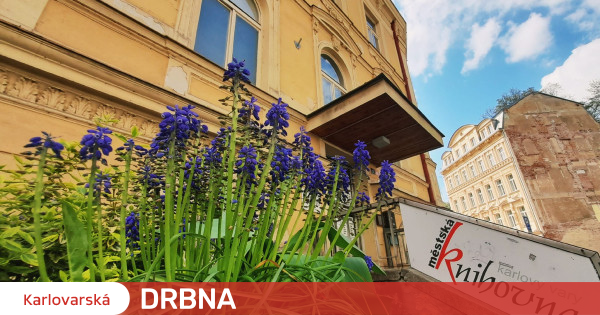 Karlovy Vary chtějí přestavět knihovnu na Růžovém vrchu na komunitní centrum