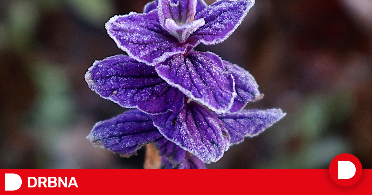 V Karlovarském kraji klesly dnes ráno teploty až k minus deseti stupňům Celsia